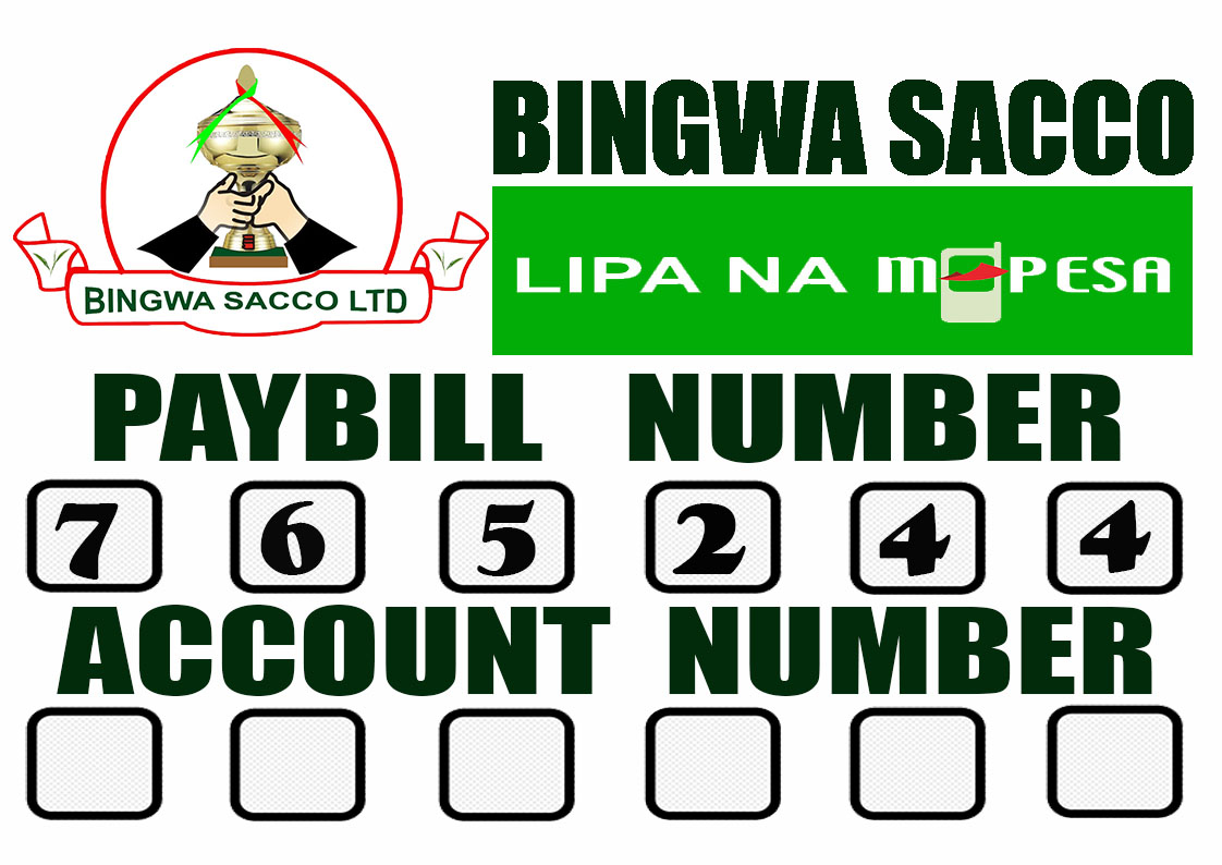 Home - Bingwa Sacco Ltd